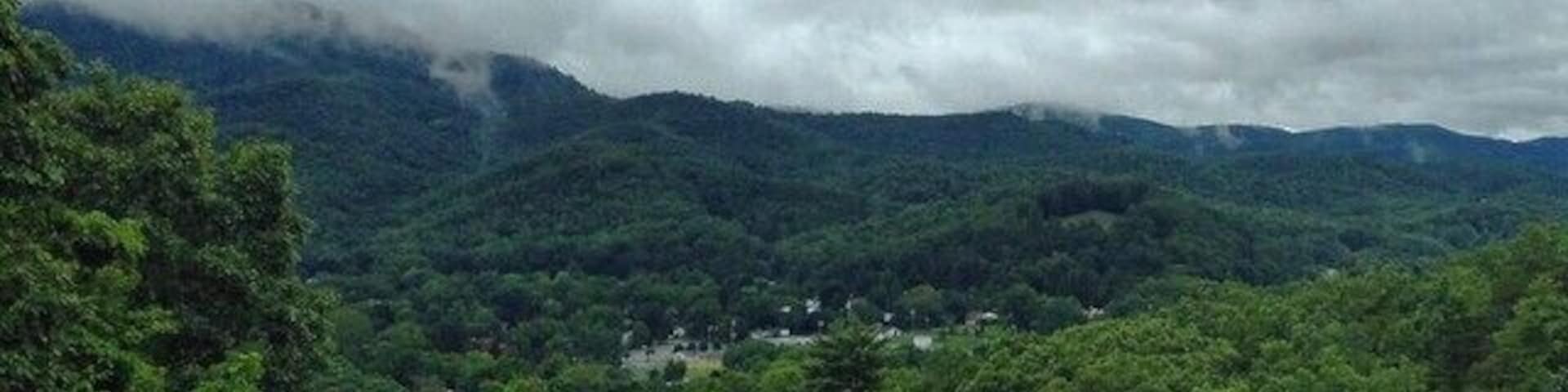 At the welcome center, on a very long drive to West Virginia, we stopped to switch drivers and use the restrooms. We were welcomed to this view, with the clouds hanging low from rain that had been going through and the trees rich in their summer hue.
The drive was beautiful but it's definitely desolate. Take breaks, get gas, and eat snacks when you can. But enjoy the view! It's so beautiful!