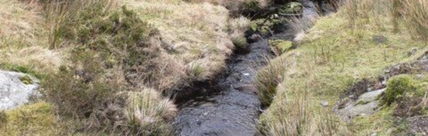 Um riacho estreito em uma área gramada, com pedras e vegetação rala.