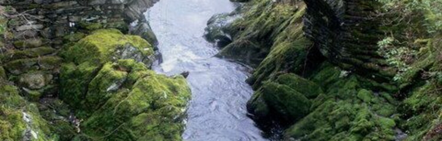Uma ponte de pedra sobre um rio corrente, com pedras cobertas de musgo e árvores ao fundo.