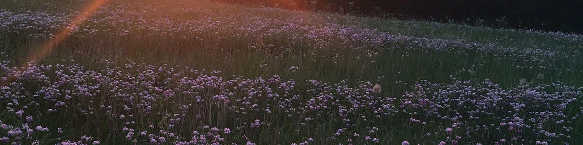 Countryside view in Kansas
#summervacation2017