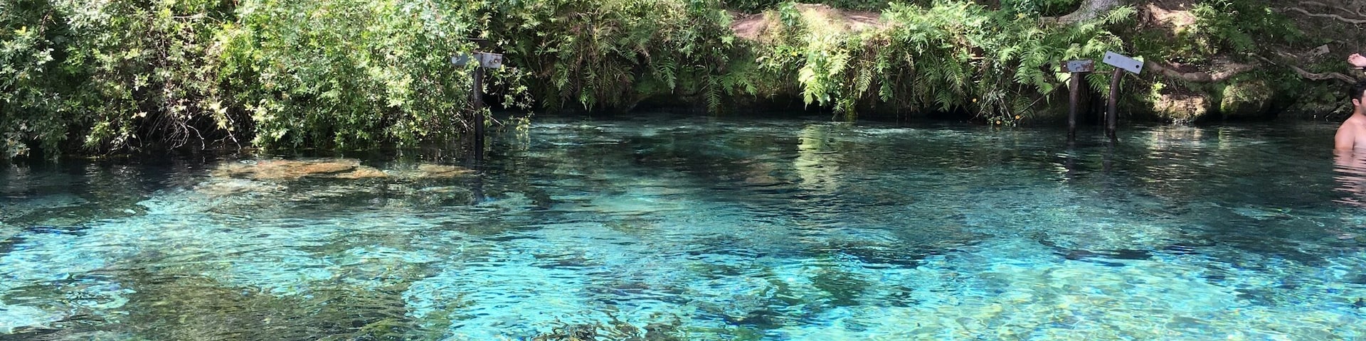 Another spring boil on the north side of the mill pond.