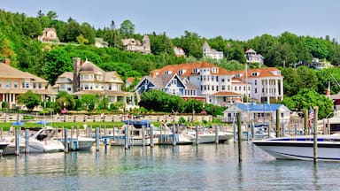 Uma marina com barcos atracados, cercada por vegetação exuberante e grandes casas.