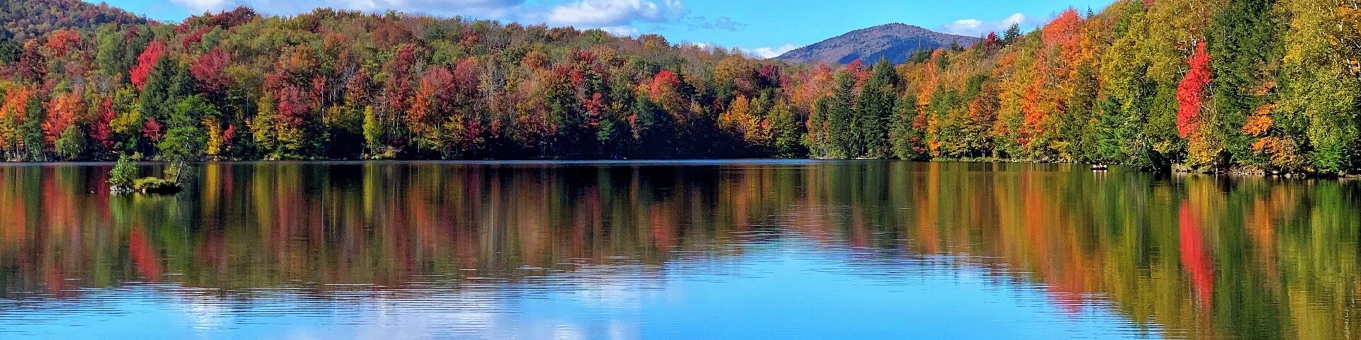 #autumn #fallfoliage #nature #leafpeeping