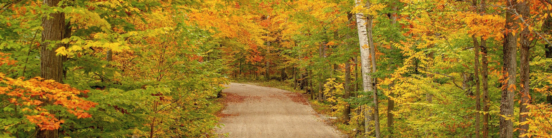 Back road near Door County Curvy Highway