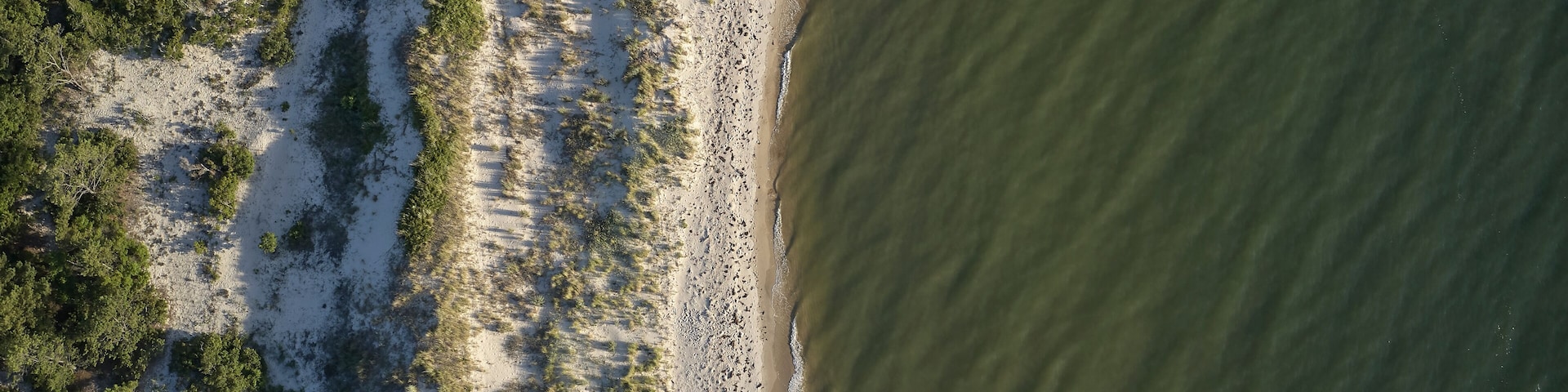 Vista aérea de uma praia com dunas de areia e uma floresta densa de um lado, e um corpo d'água calmo do outro.