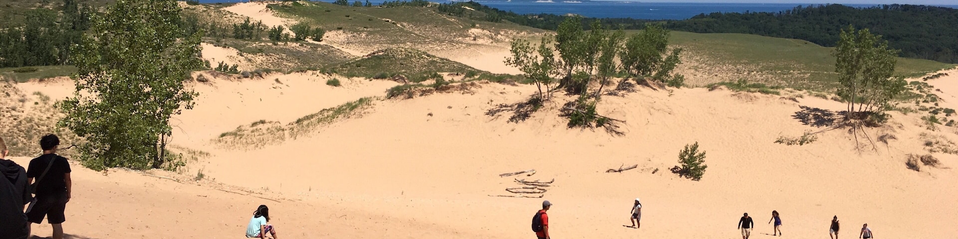 Paisagem arenosa com dunas, vegetação escassa e céu azul límpido.