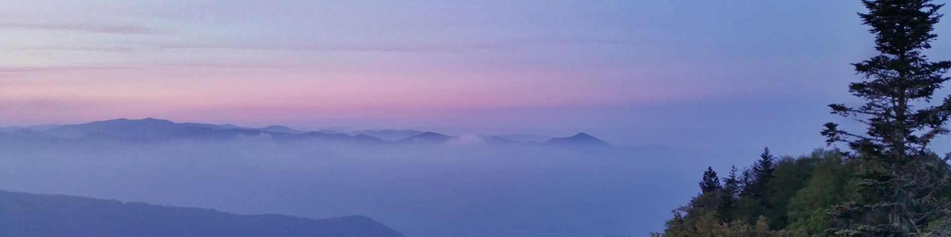 First light caresses  mountain fog, Blue Ridge Pkwy
Tip: both sides of the Knob are scenic, as clouds color at different times during sunrise. 
#bvsblue
