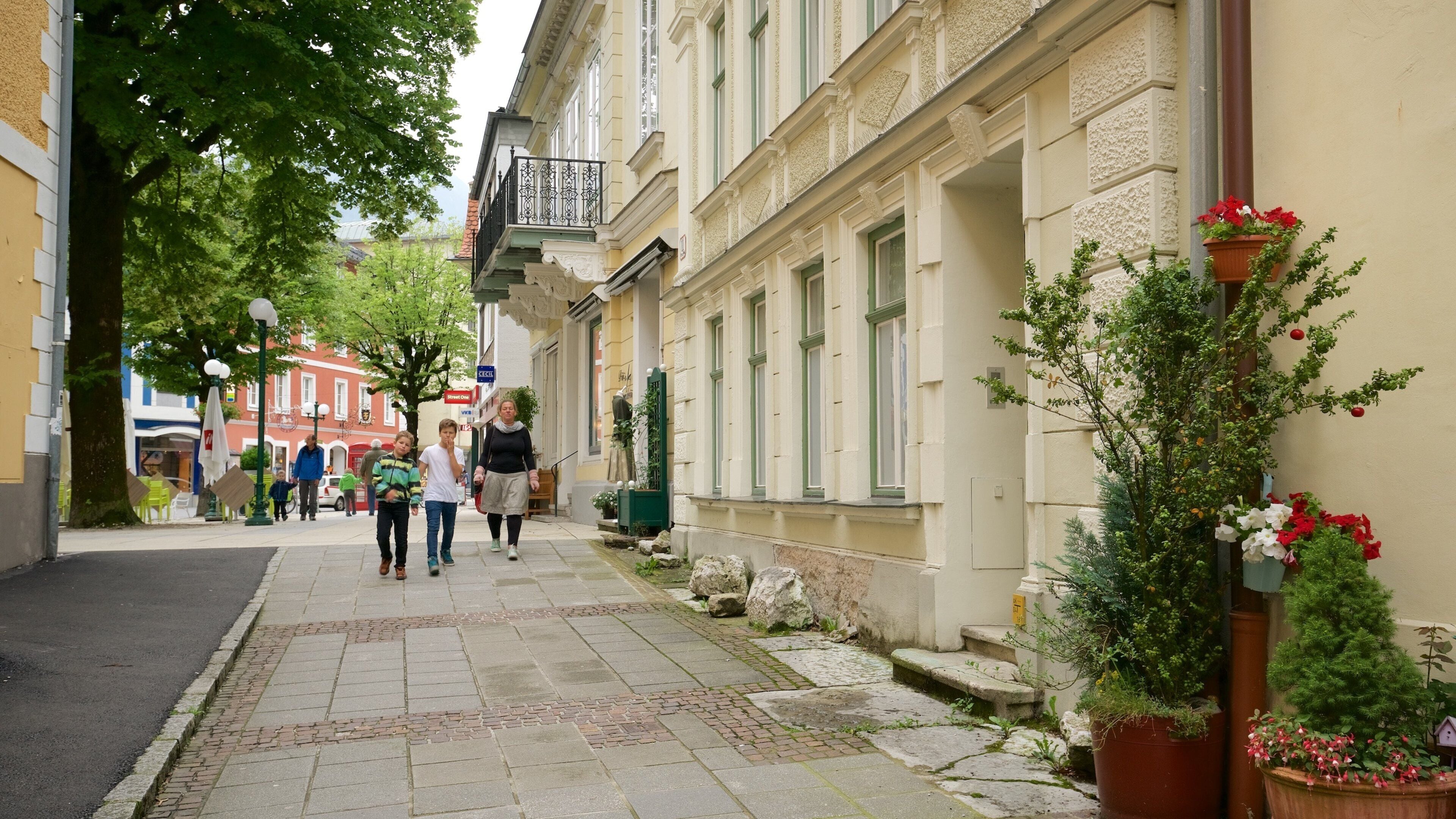Uma rua de paralelepípedos com prédios, uma árvore e plantas em vasos.