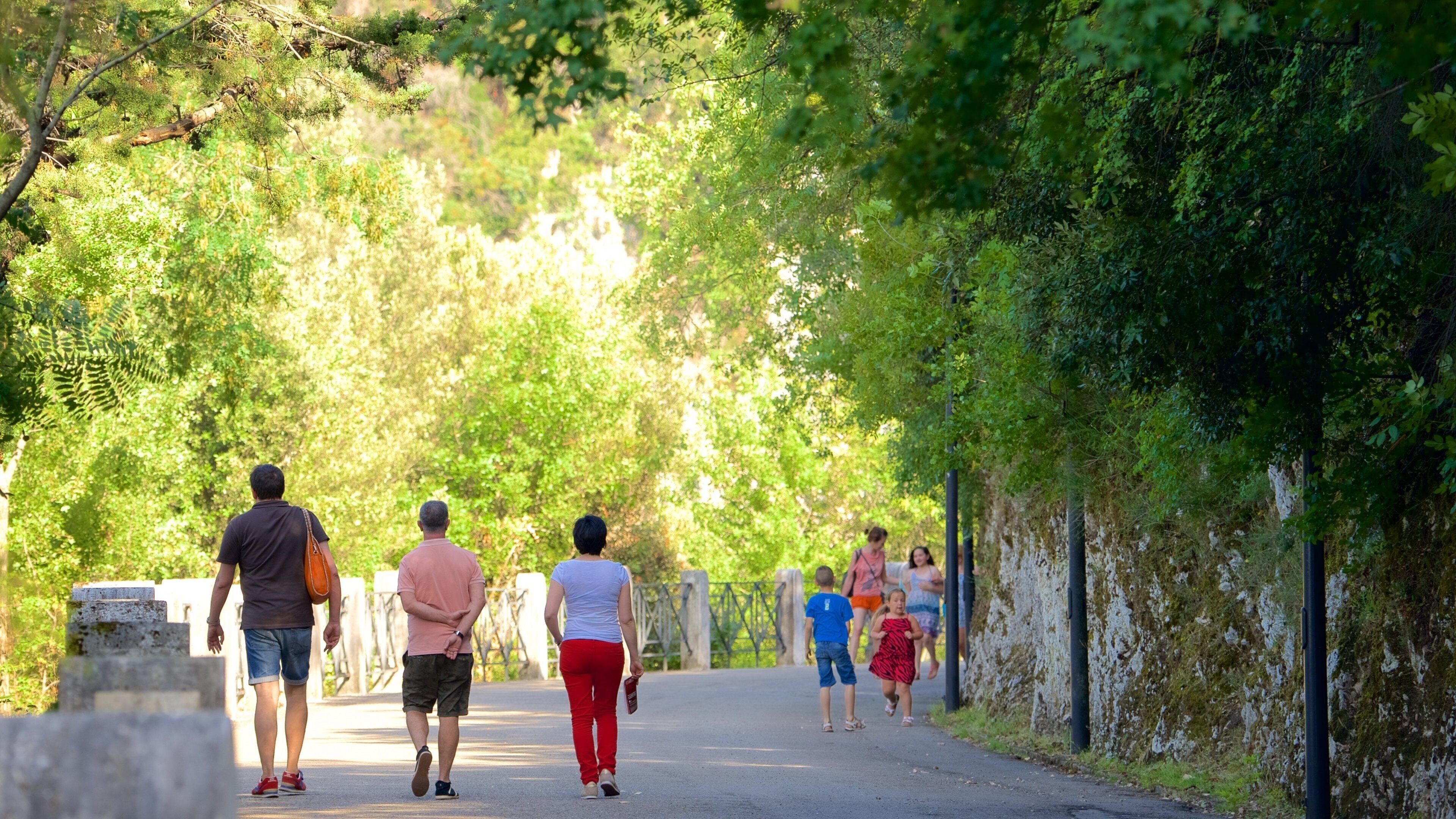 Uma trilha pavimentada ladeada por árvores verdes e um muro de pedra.