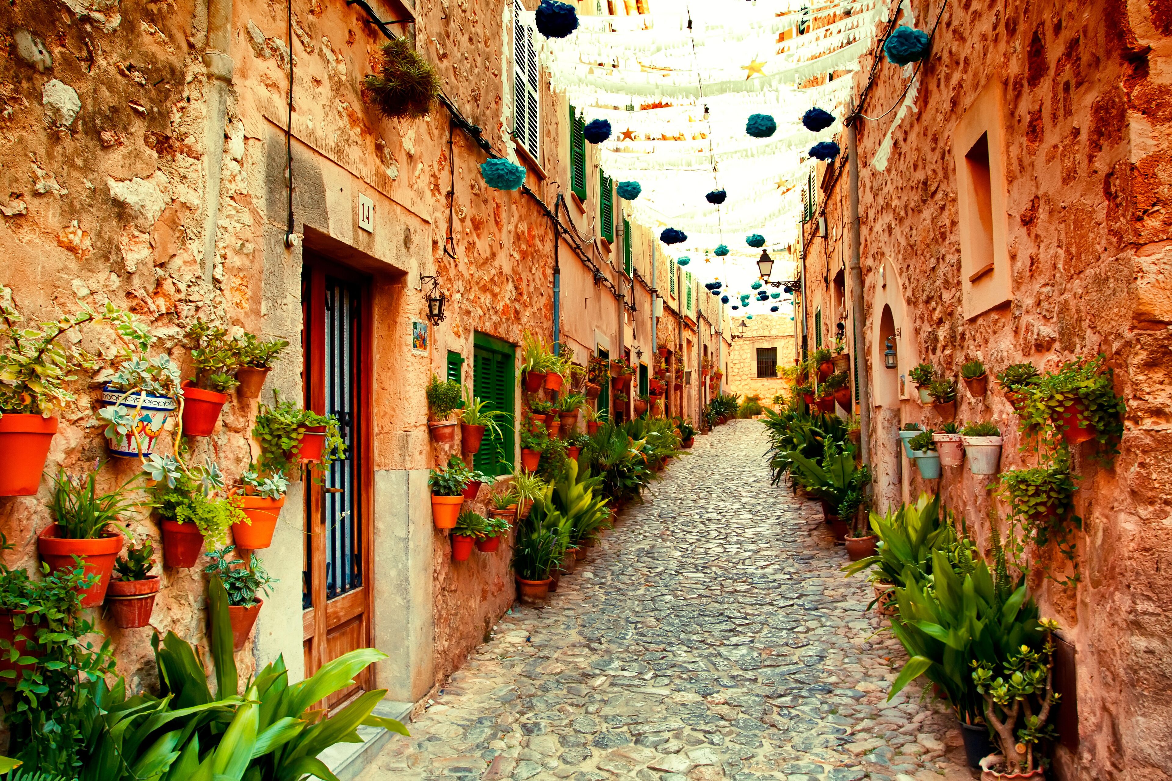 Uma rua de paralelepípedos com plantas em vasos e edifícios com persianas verdes.