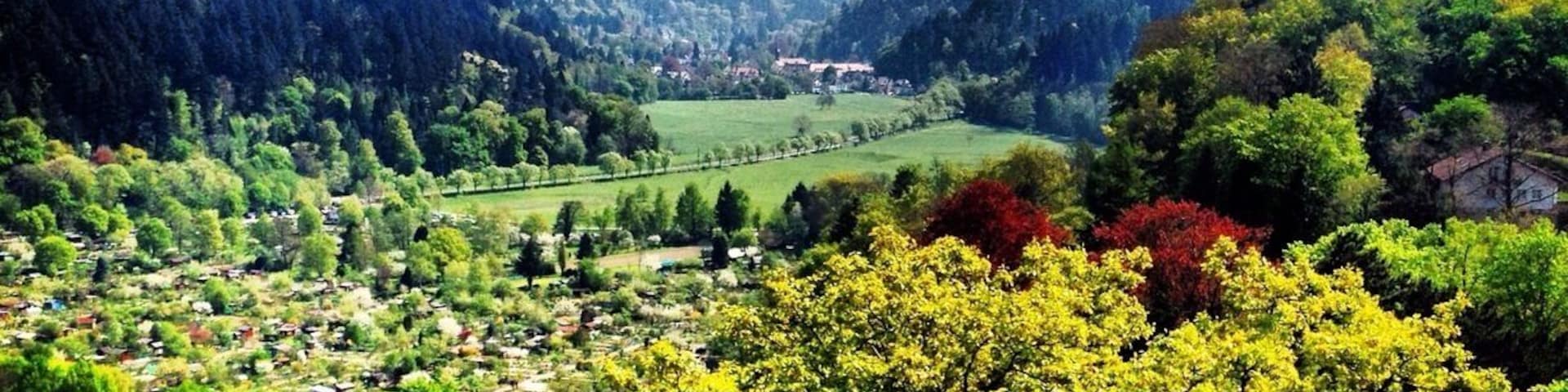 From the top of Freiburg's Lorettoburg, looking south at the Black Forest! I love #hiking in the Schwarzwald!