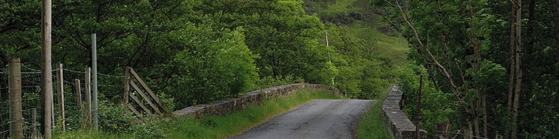 Uma estrada rural estreita, ladeada por muros de pedra e vegetação exuberante.