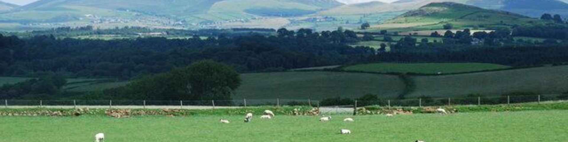 Tir amaethyddol Bodgadle Farmland In the distance are Yr Eifl, Tre'r Ceiri and Mynydd Carnguwch