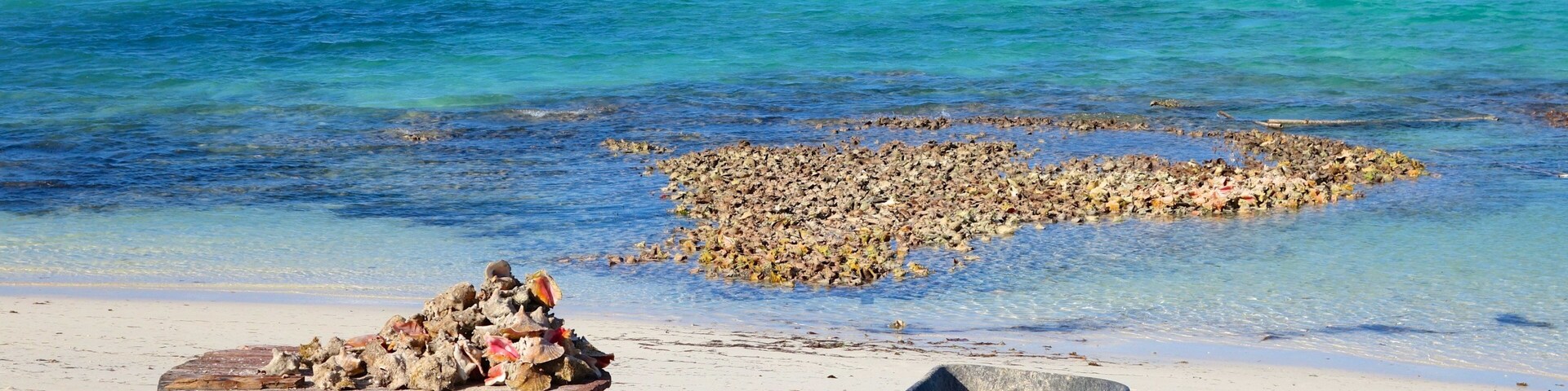 Conch Bar which includes rocky coastline, tropical scenes and a beach