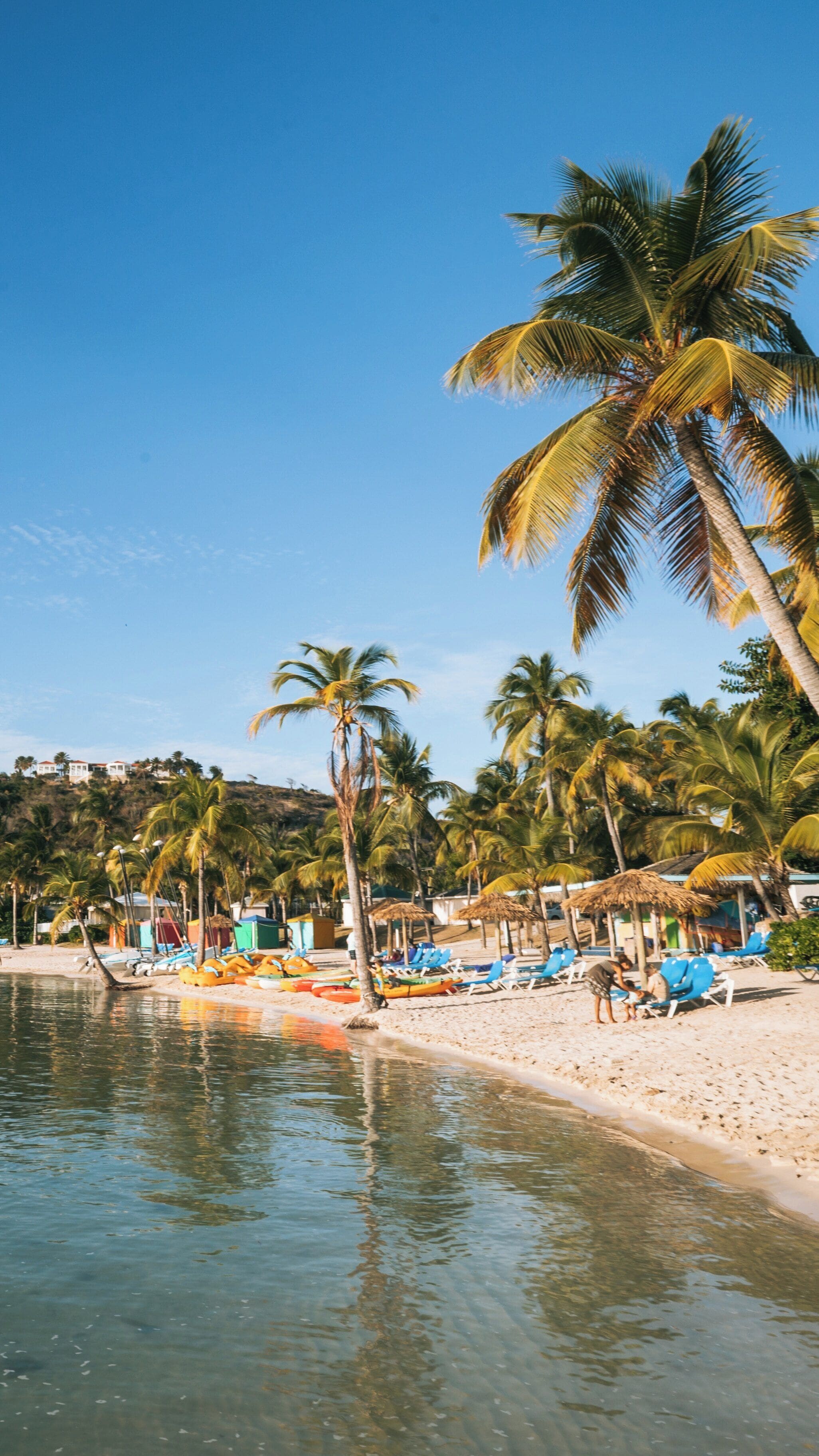 Relaxing beach day at Mamora Bay in English Harbour, Antigua and Barbuda with palm trees and vibrant sun chairs
