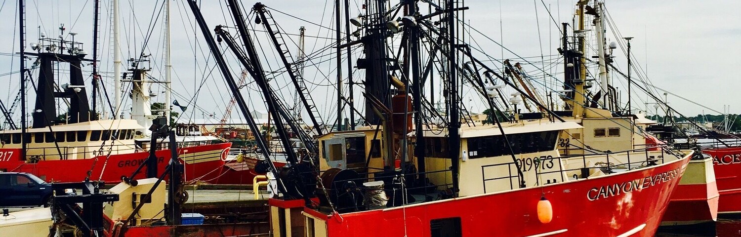 Heading out from the ferry terminal, many fishing vessels docked in the area.