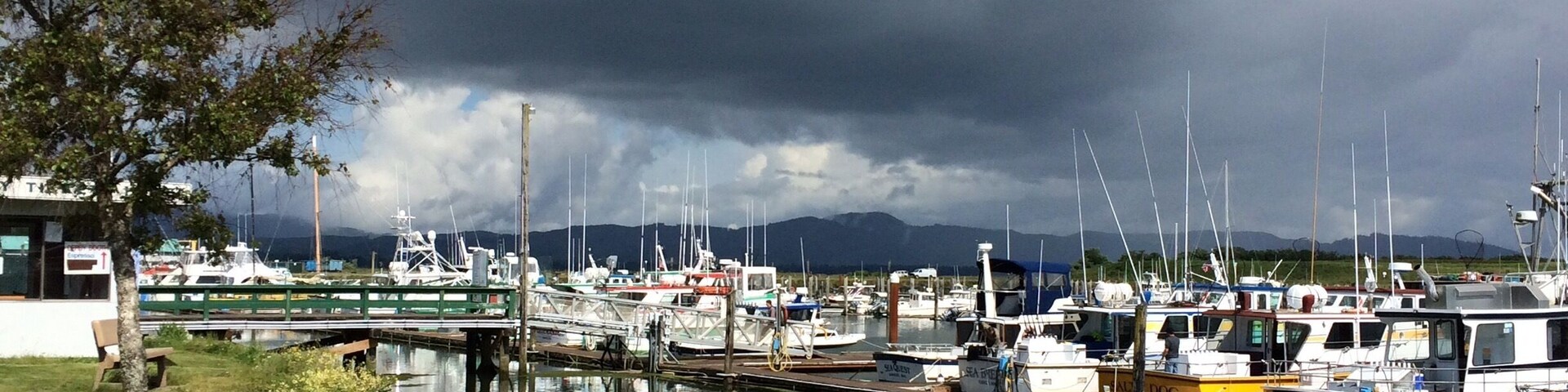 Only 20 minutes from Astoria OR and 10 minutes from Long Beach. Enjoy the Saturday market along the waterfront, go fishing, or start here on your 8 mile walk or bike ride of the Discovery Trail. Don't let the gray clouds concern you, this is not uncommon.