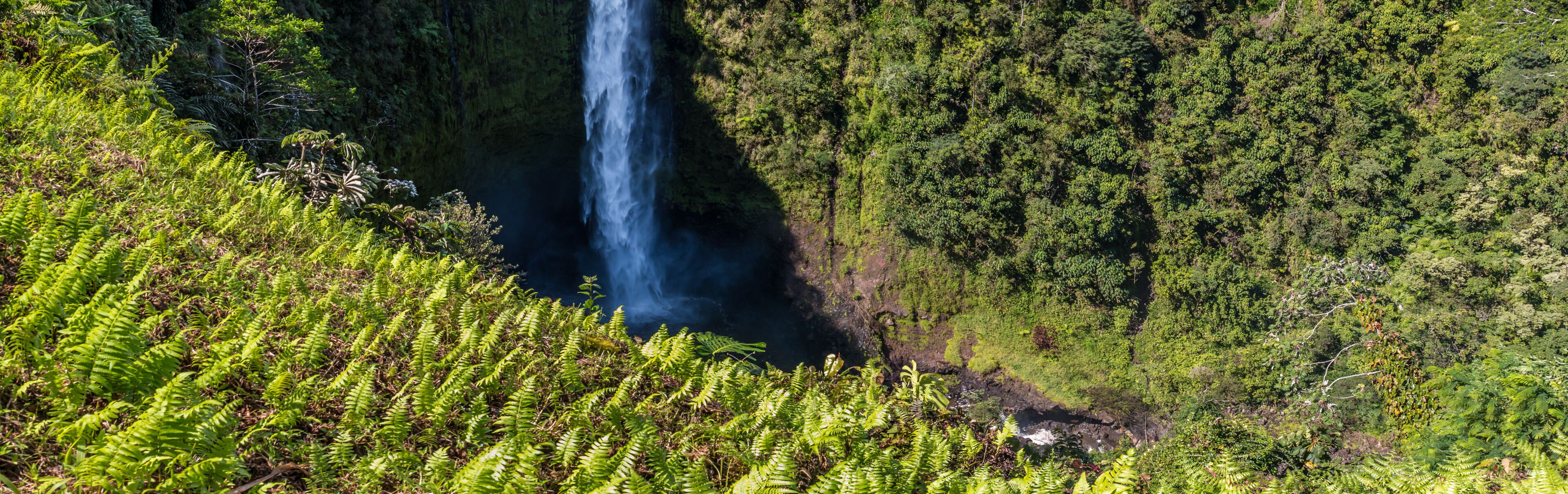Uma cascata despenca por um penhasco íngreme, rodeada por floresta verde densa.
