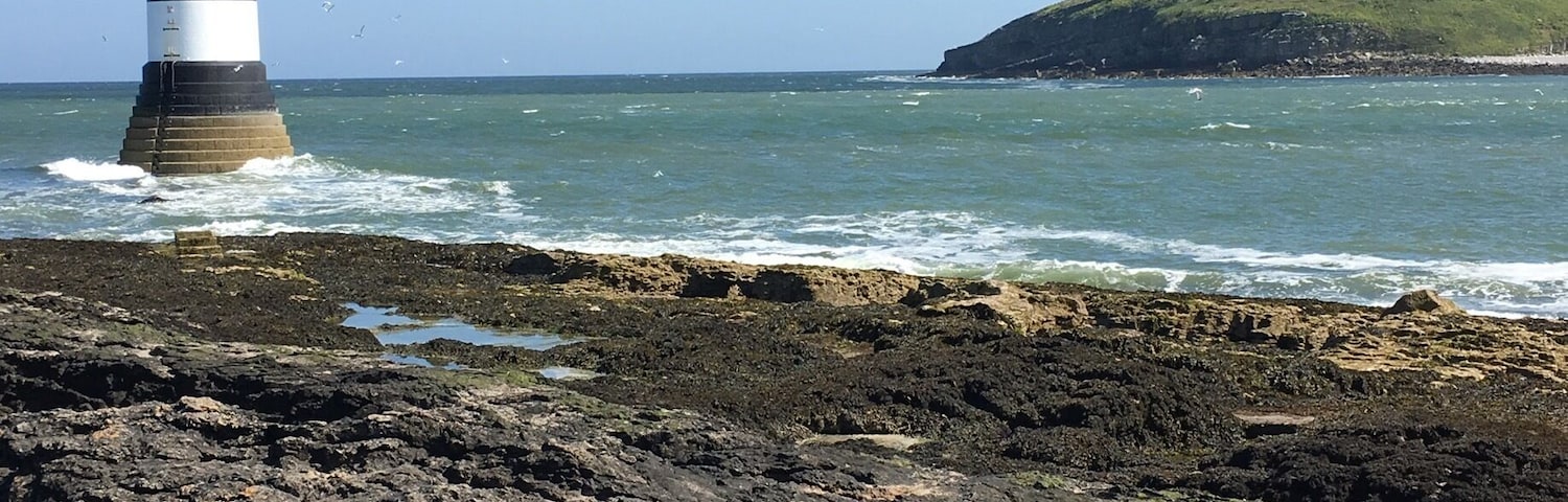 The lighthouse and in the background Puffin Island. Nice walking path and cafe nearby