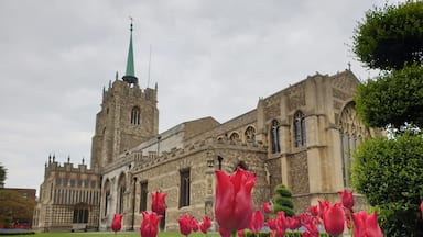 Uma igreja histórica com uma torre alta e tulipas vermelhas em primeiro plano.