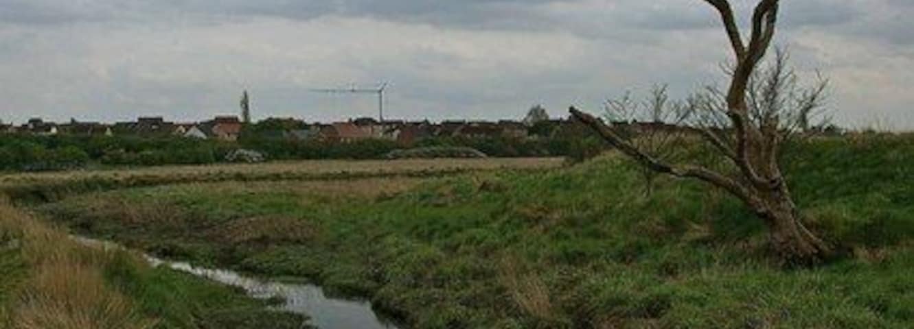 Fenn Creek Fenn Creek is in Woodham Fen Nature Reserve. South Woodham Ferrers is in the background the reserve is managed by Essex Wildlife Trust for more info see http://www.essexwt.org.uk/visitor_centres__nature_reserves/woodham_fen/