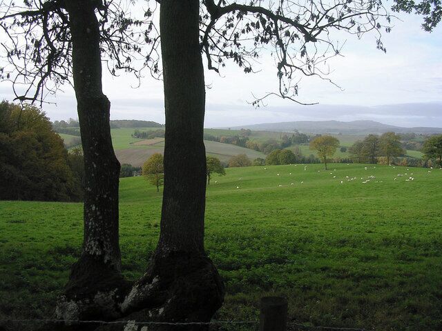 Um campo gramado com árvores e uma vista distante de colinas.