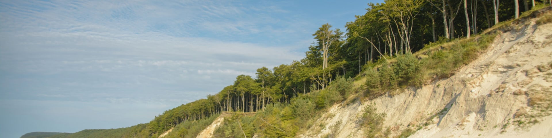 This is a photography of protected area with CRFOP ID