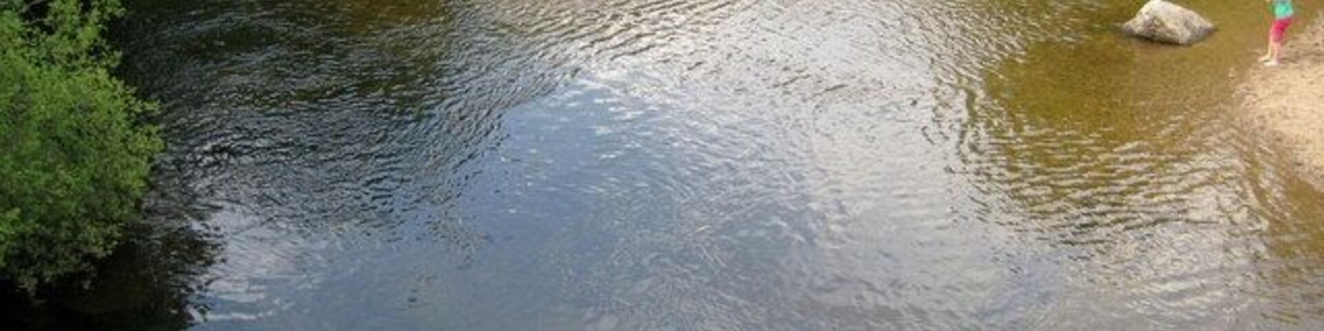 Um rio com pessoas na margem e um cão por perto.