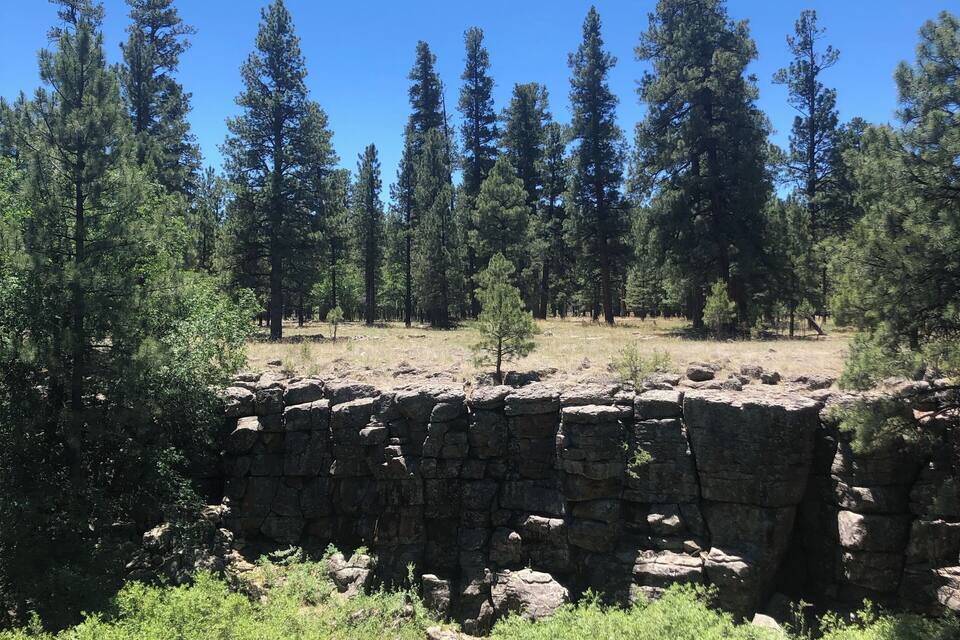 Um penhasco rochoso com um muro de pedra, rodeado por uma floresta verde densa e altas árvores de pinheiro sob um céu azul límpido.