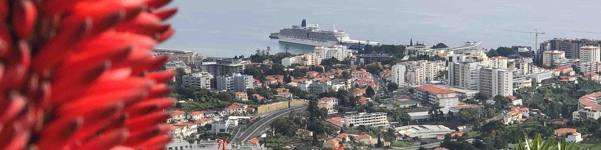 Arcadia from Madeira viewpoint.