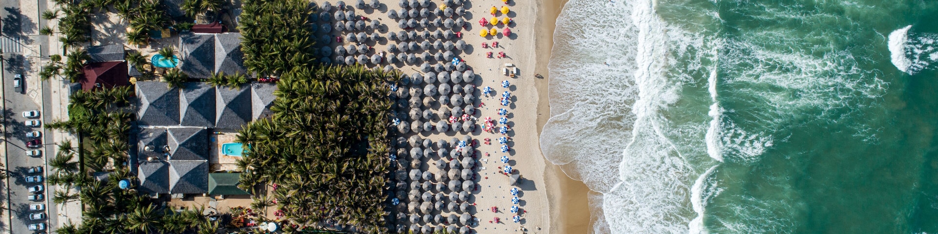 Uma praia com guarda-sóis, espreguiçadeiras e palmeiras.