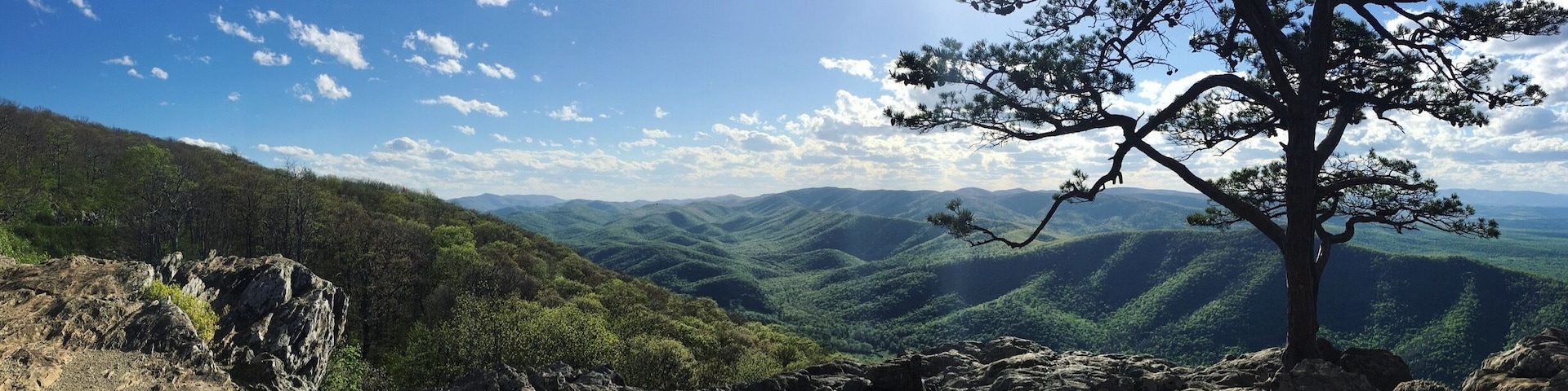 This was one of my favorite overlooks off of the Blue Ridge Parkway. Worth the stop!