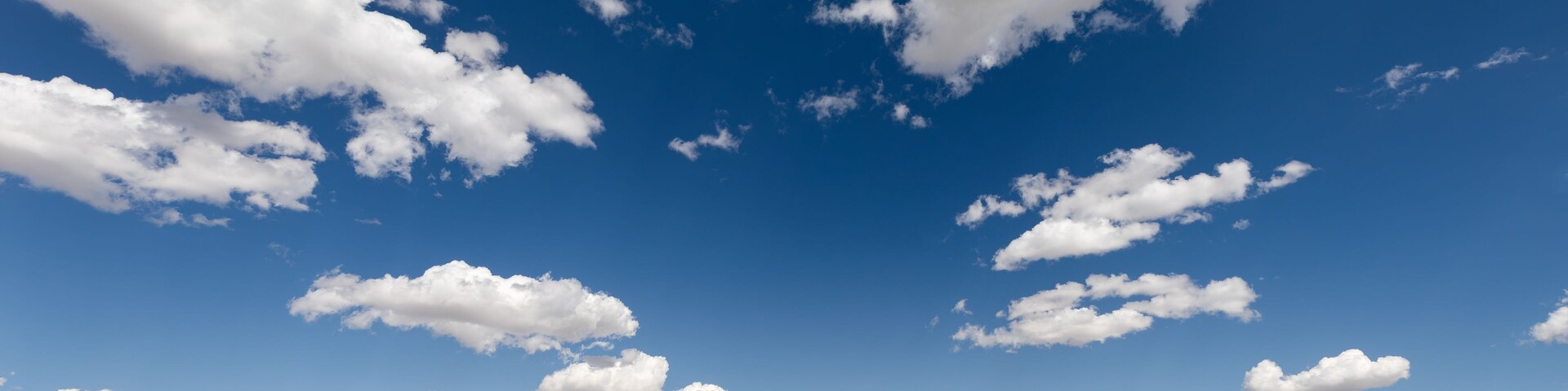 Um vasto campo de trigo sob um céu azul límpido com algumas nuvens espalhadas.