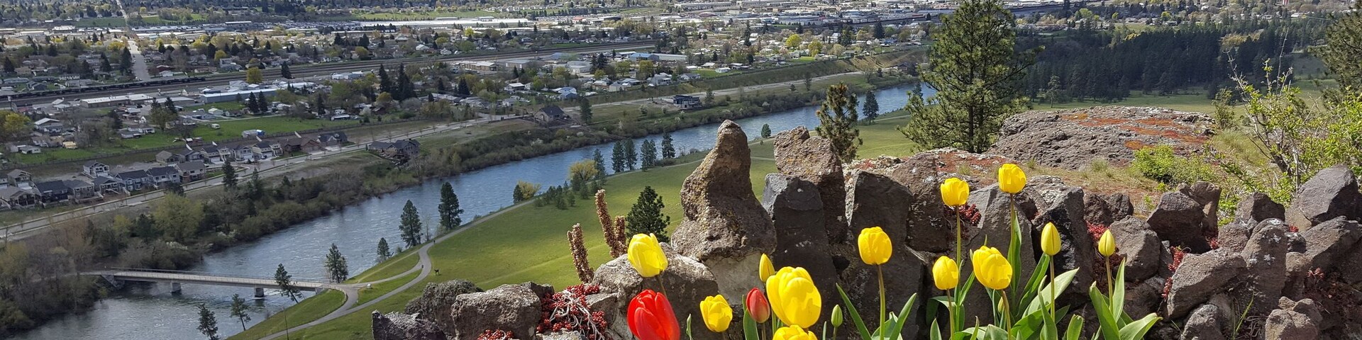 View overlooking the Spokane River. #SpringFun