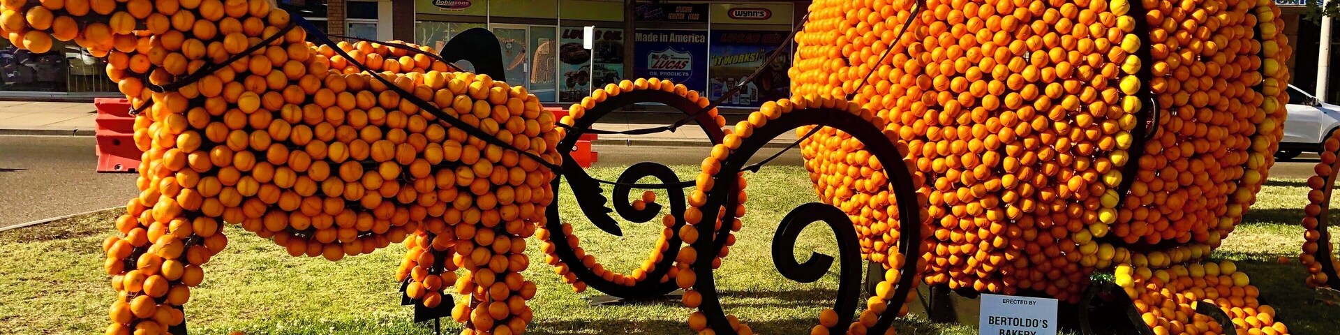 Orange sculptures spring festival Griffith hu