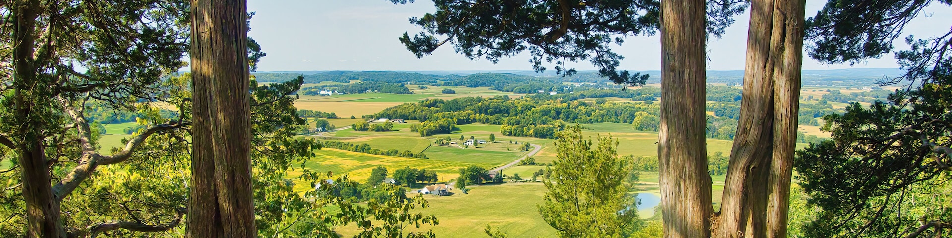 Paisagem rochosa com árvores grandes e vista para um vale verde.
