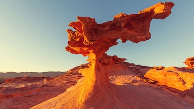 Mesquite