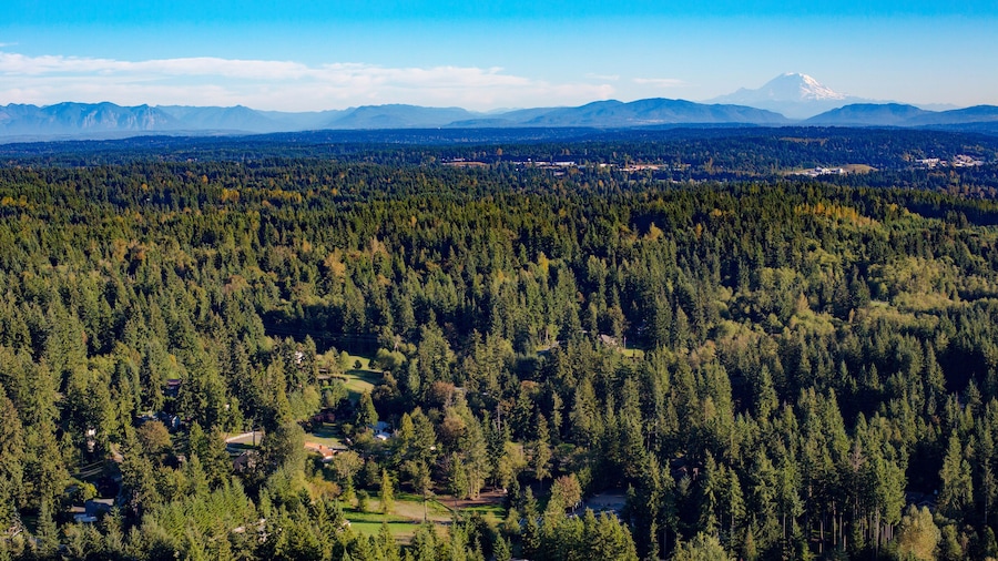 Floresta densa com casas espalhadas e uma cadeia de montanhas ao fundo.