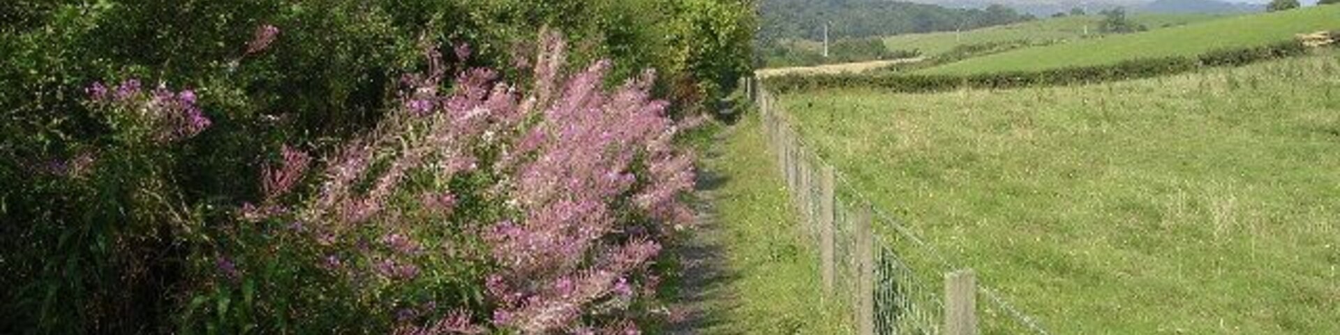 Footpath along boundary of Bearsden. A footpath through common ground along the northern boundary of Bearsden.