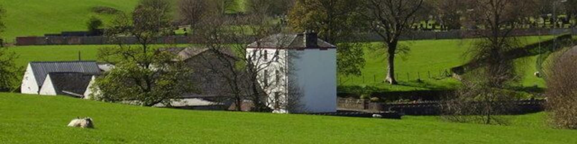 Burnhouse Farm and Mearns cemetery Background houses on Whitehill Grove and Old Humbie Road.