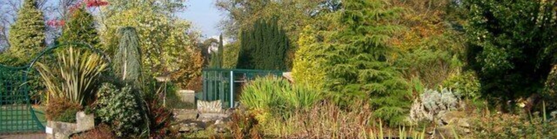 Um jardim com um lago, plantas diversas e árvores.