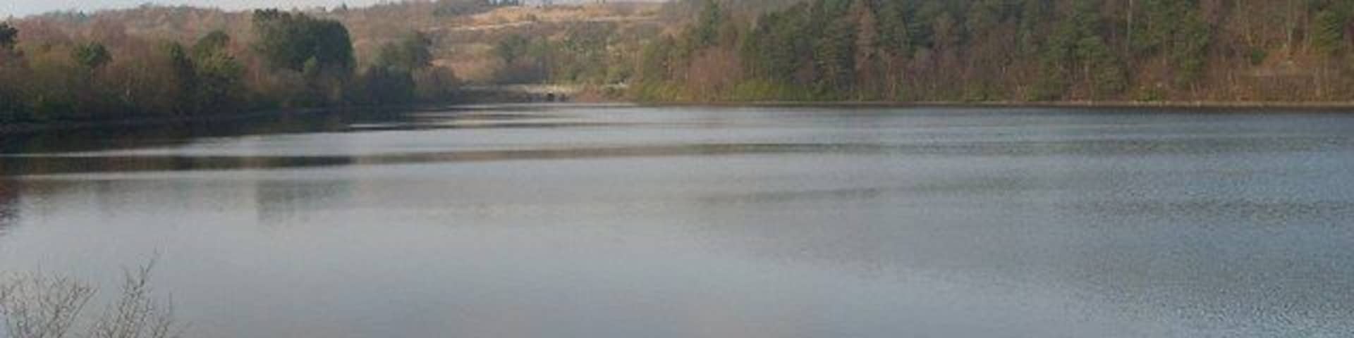View across Mugdock Reservoir Looking to the Northwest corner.