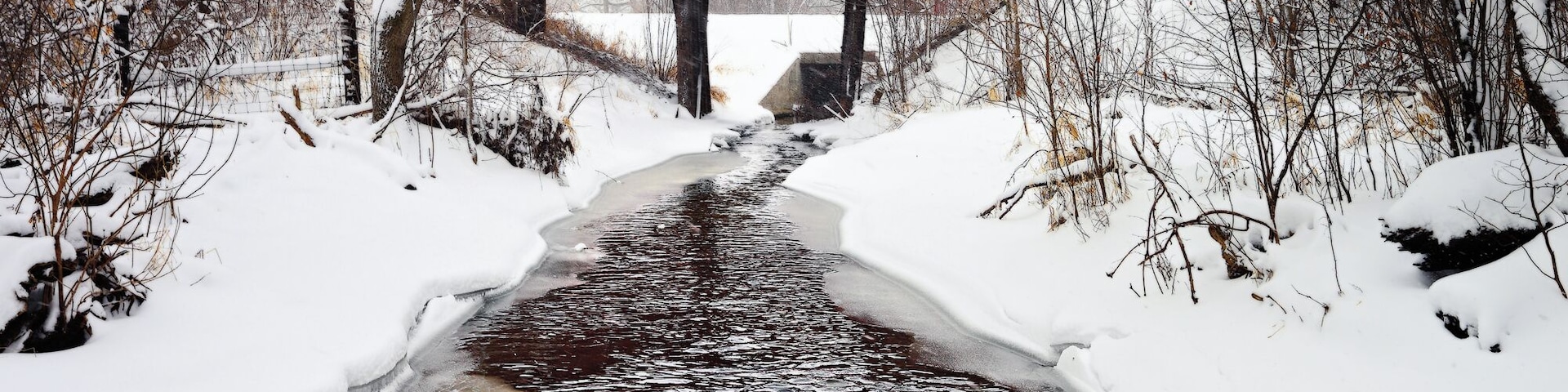 A short distance out of the small city of Milton, WI is a neat old wood covered bridge. It provides a little used road over a small meandering stream. On this Winter day we received over a foot of snow. The white flakes and the red bridge created one of my favorite Americana photos. The tree lined snowy path provides a surreal and wintery feel.