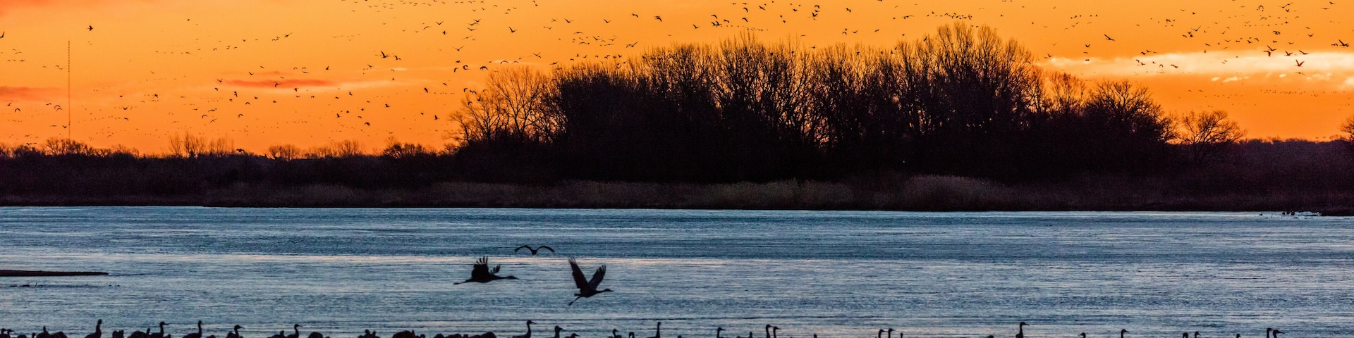 Pôr do sol sobre a água, com silhuetas de aves e juncos.