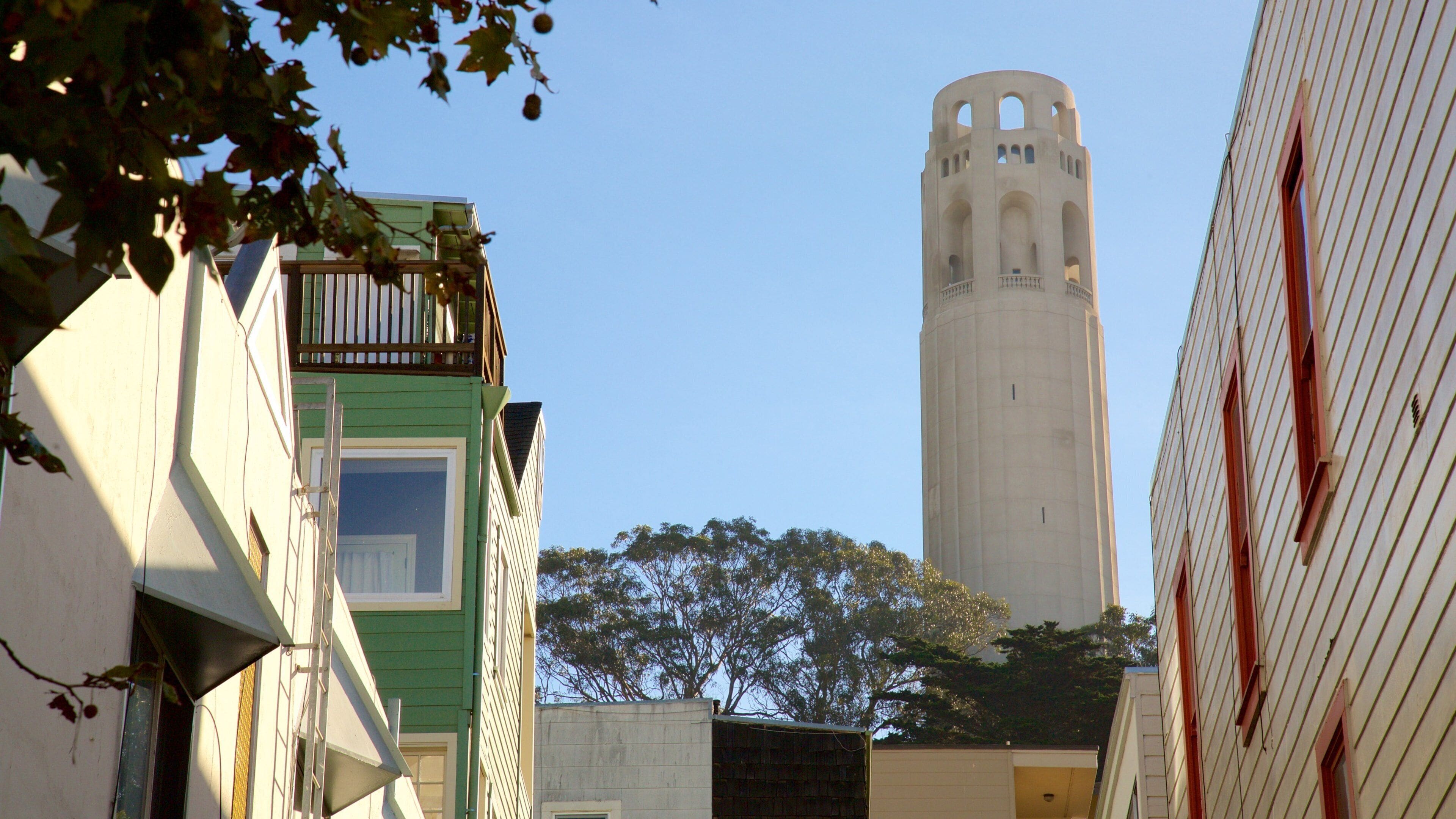 North Beach featuring a city