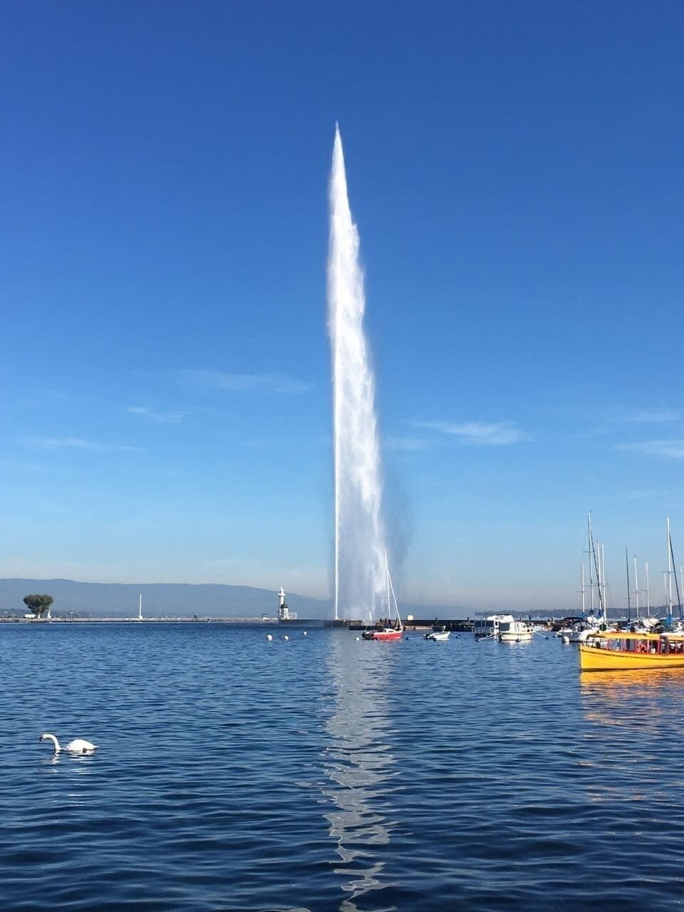 Um jato de água saindo de uma fonte, barcos e veleiros em águas calmas.