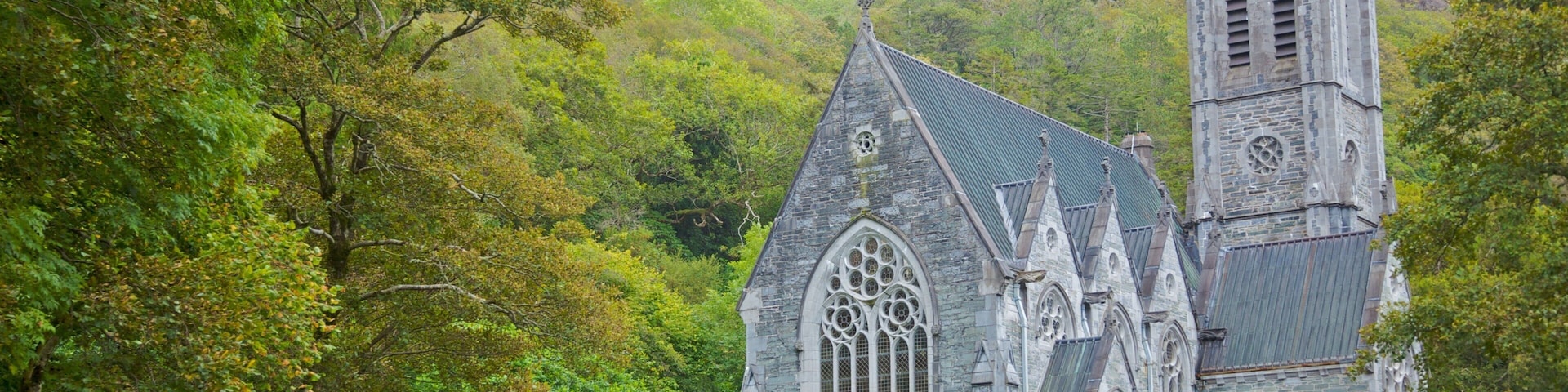 Galway mostrando montanhas, um parque e arquitetura de patrimônio