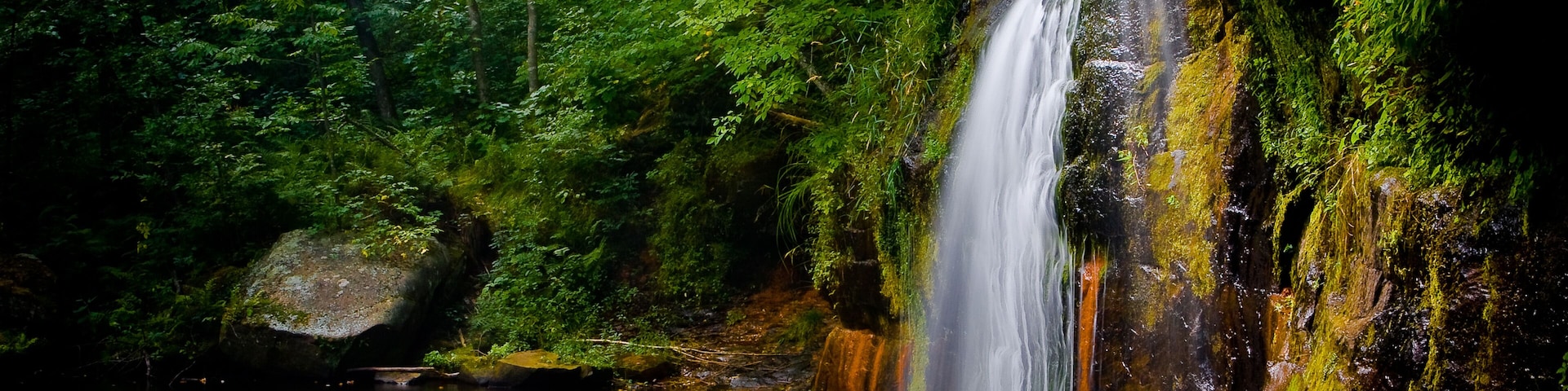 Uma cascata despencando sobre rochas cobertas de musgo em uma floresta densa.
