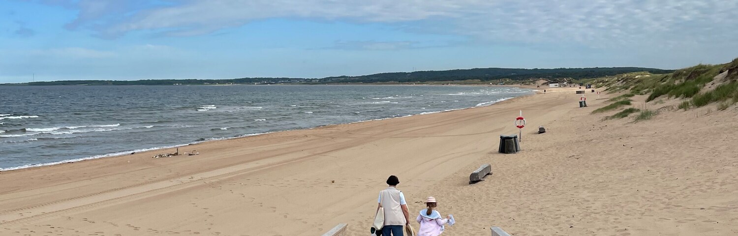 Uma passarela de madeira que leva a uma praia de areia, com ondas ao fundo.