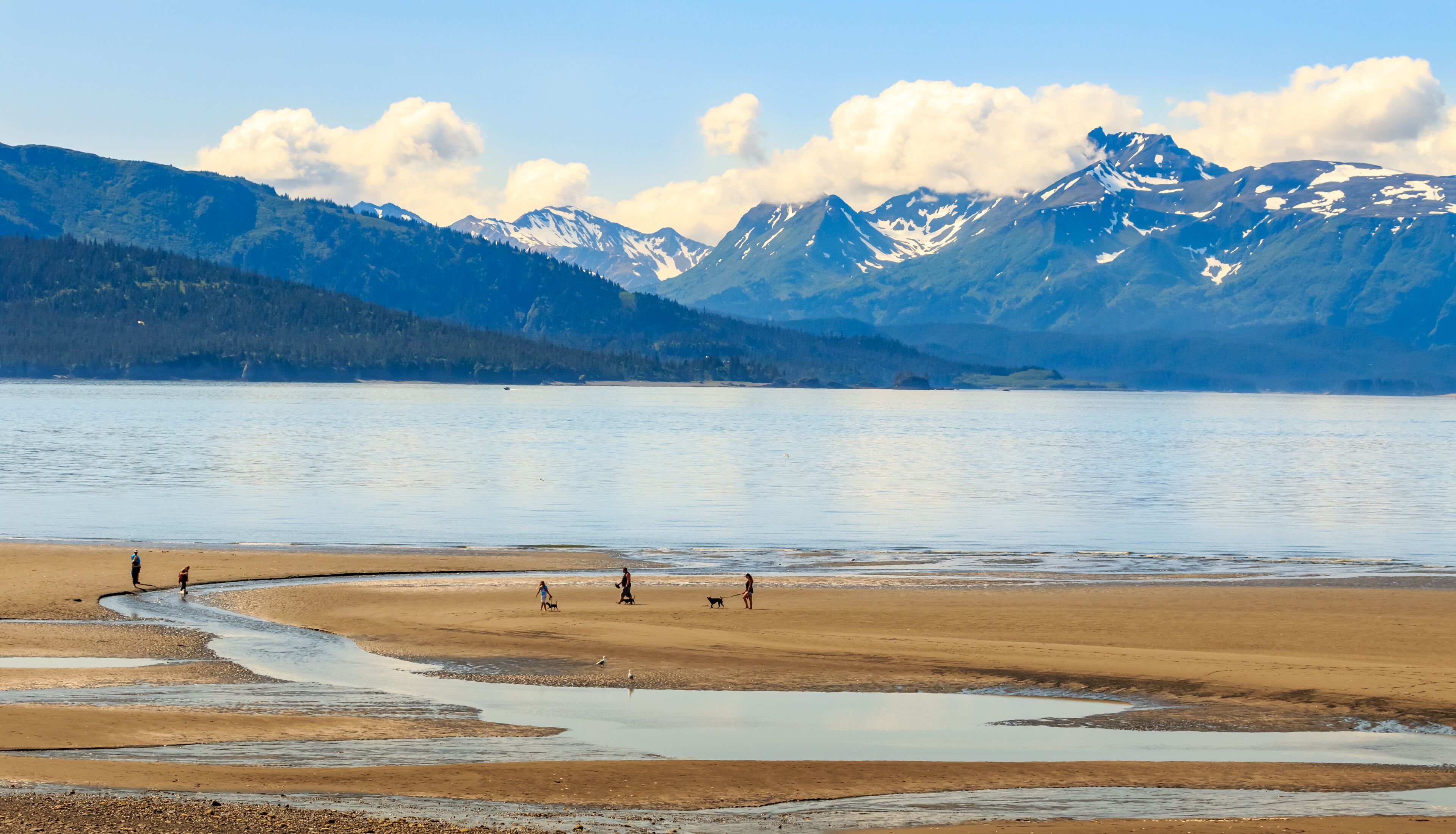 Um lago com montanhas ao fundo, uma praia arenosa e pessoas passeando com cães.